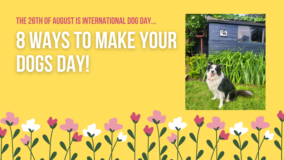 International Dog Day- 8 Easy Ways To Make Your Dog's Day — Flory's Online