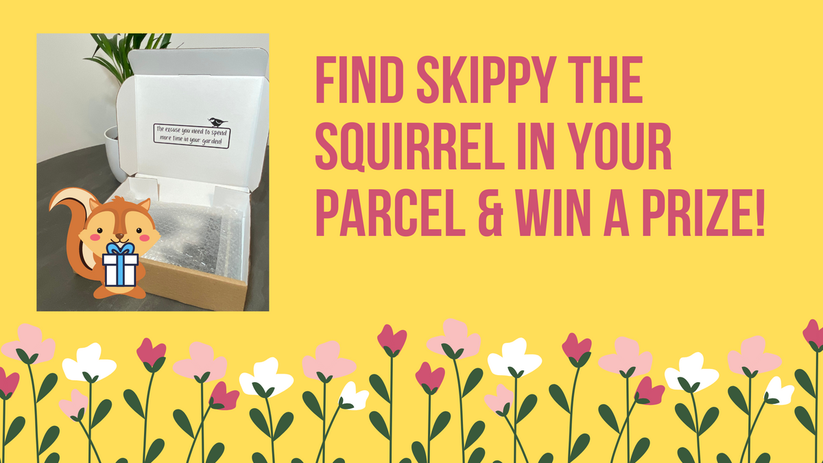 Skippy the Squirrel in your parcel! — Flory's Online