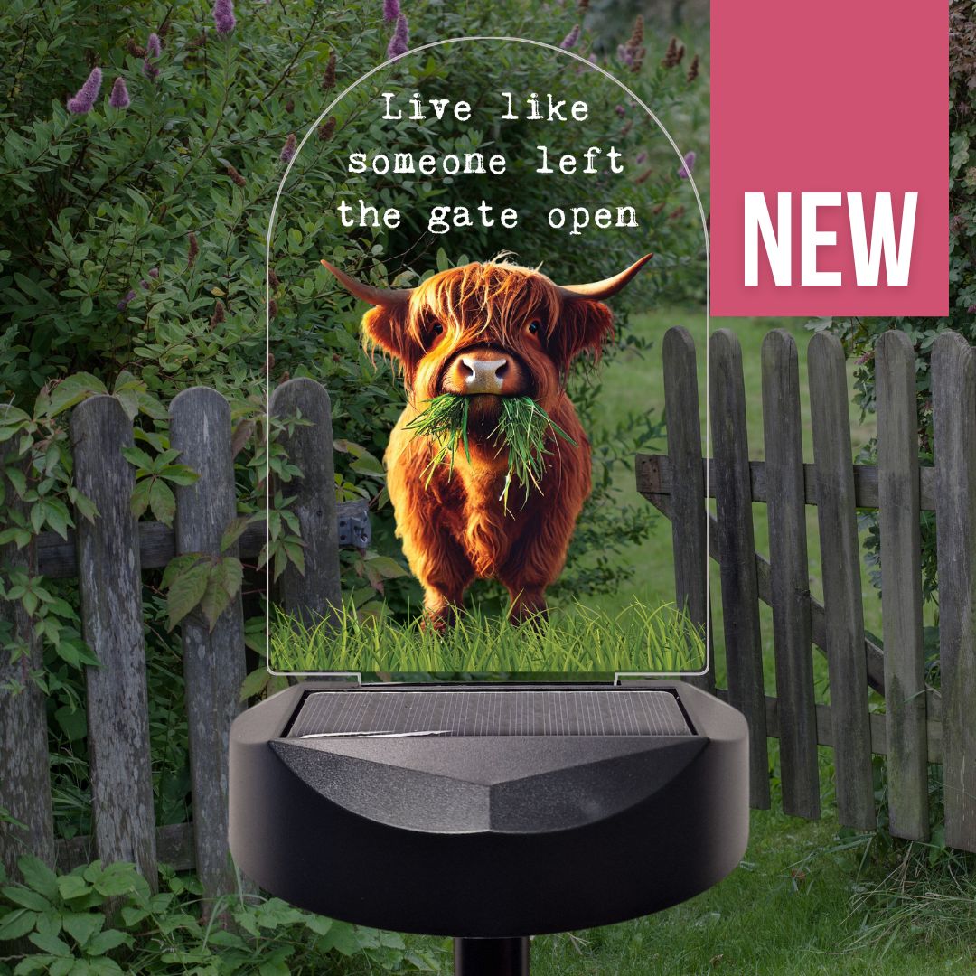 'Live like someone left the gate open' Highland Cow Solar Stake - Flory ...