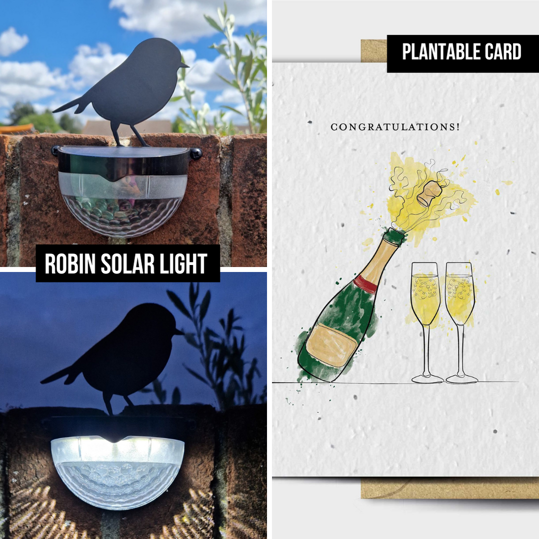 Congratulations Robin Gift Set - Flory's Online