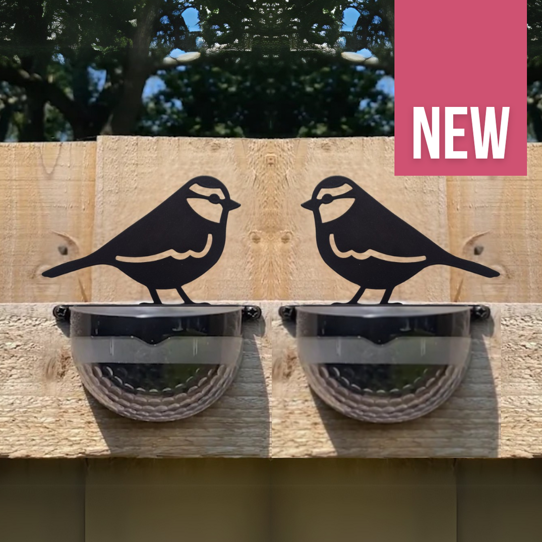 Small Solar Lights — Flory's Online