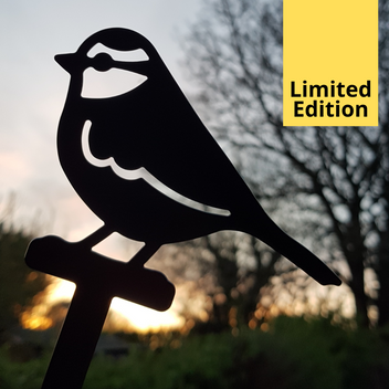 Robin Solar Powered LED Light — Flory's Online