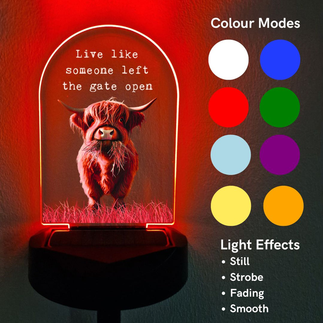 'Live like someone left the gate open' Highland Cow Solar Stake - Flory ...