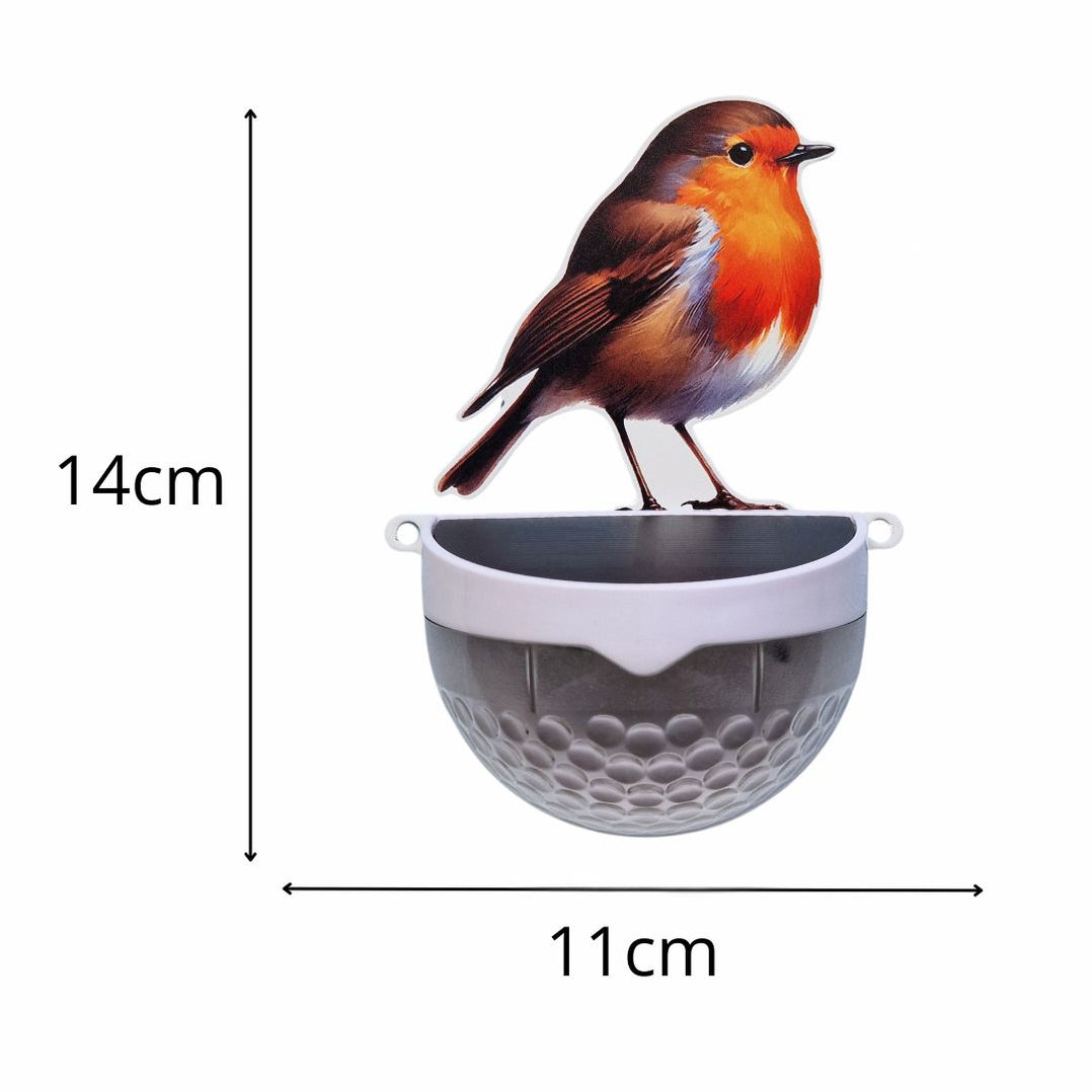 Set of 2 - Real Robin & Blue Tit Solar Powered LED Lights — Flory's Online