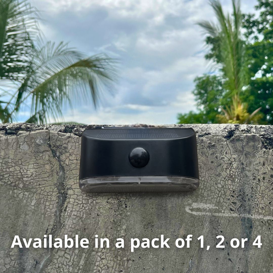 Motion-Sensor Solar Lights (Exclusive to Flory’s) — Flory's Online