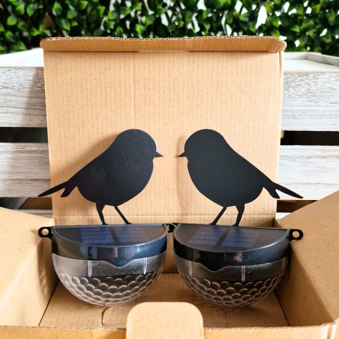 Set of 2 Robin Solar Powered LED Lights — Flory's Online