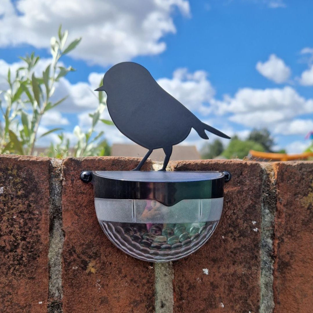 Congratulations Robin Gift Set - Flory's Online