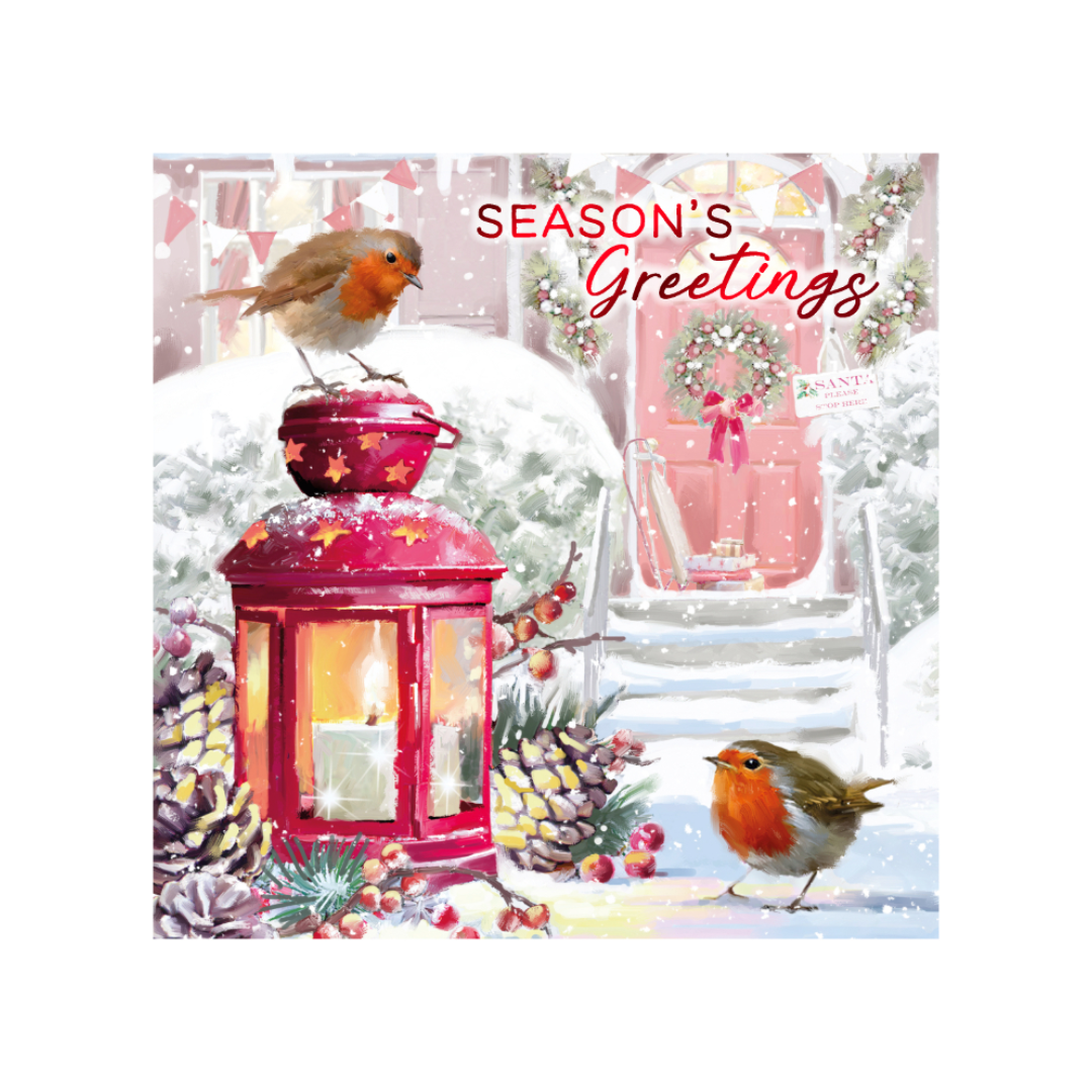 Christmas Robin Cards Pack of 12 — Flory's Online