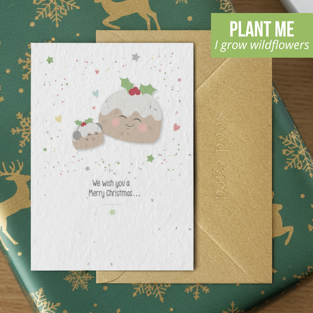 'We wish you a Merry Christmas' Cute Pudding Plantable Seeded Card ...