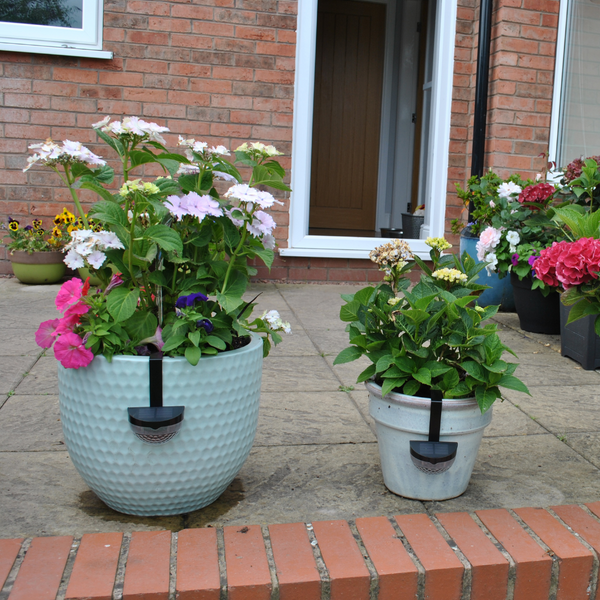 Hanging Solar Lights (No screws required!!) – Flory's Online