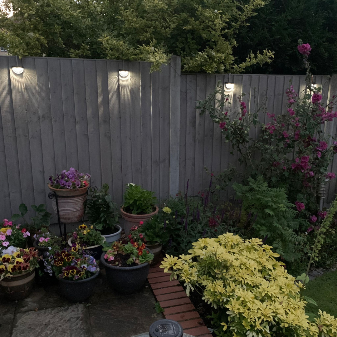 Hanging Solar Lights (No screws required!!) – Flory's Online