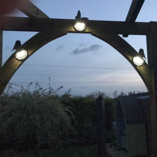 Robin Solar Powered LED Light – Flory's Online