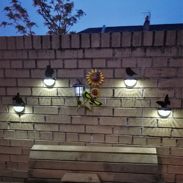 Robin Solar Powered LED Light – Flory's Online