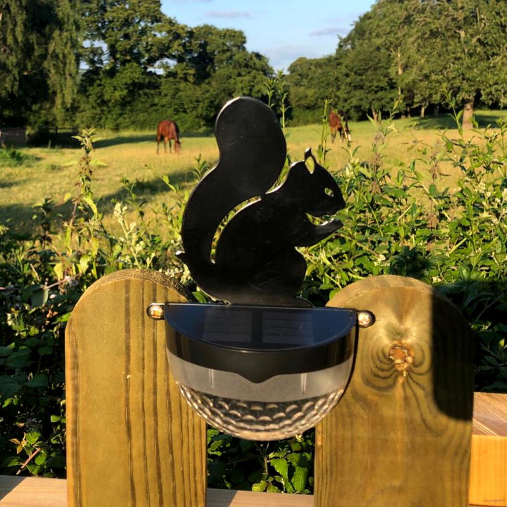 All Products — Flory's Online