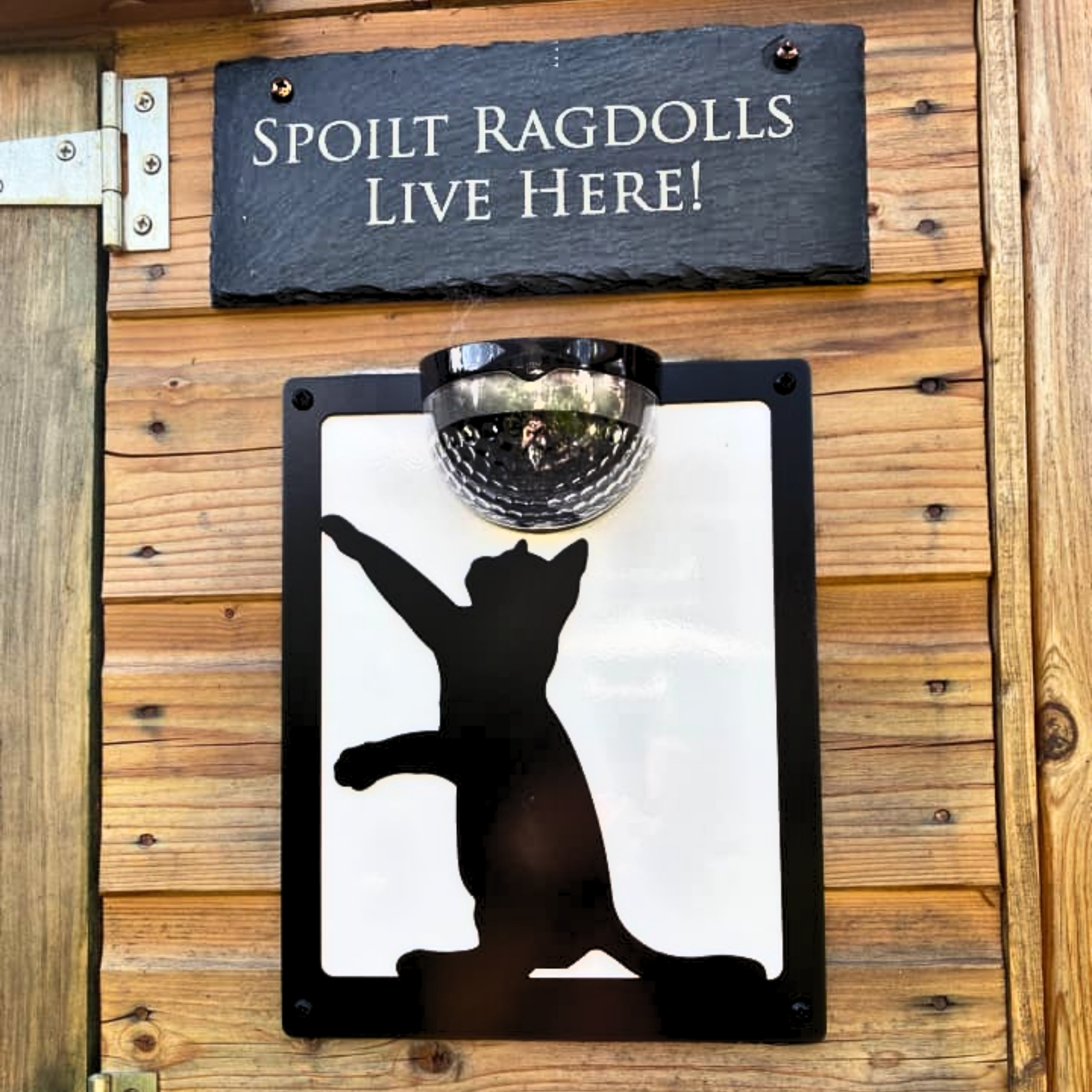 Cat Design Solar-Powered LED Light Wall Shed Plaque — Flory's Online